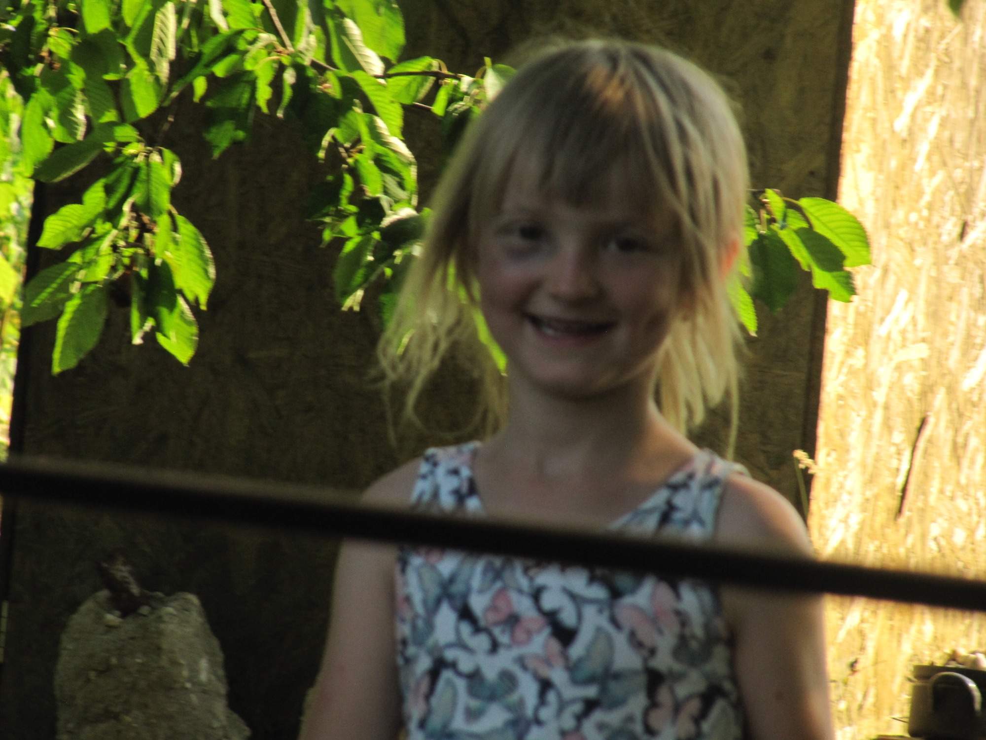 Na prázdninách srpen 2020 – franton – album on Rajče