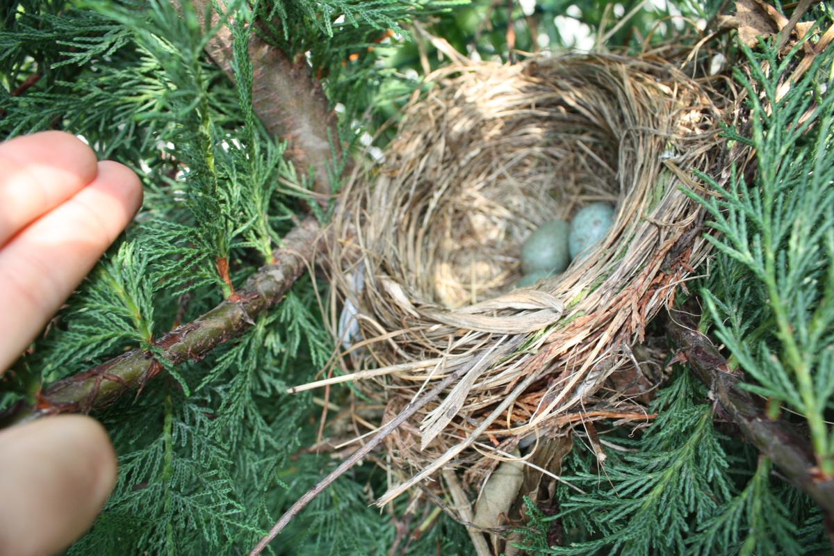 2011-07-14 – sakrulkus – album on Rajče